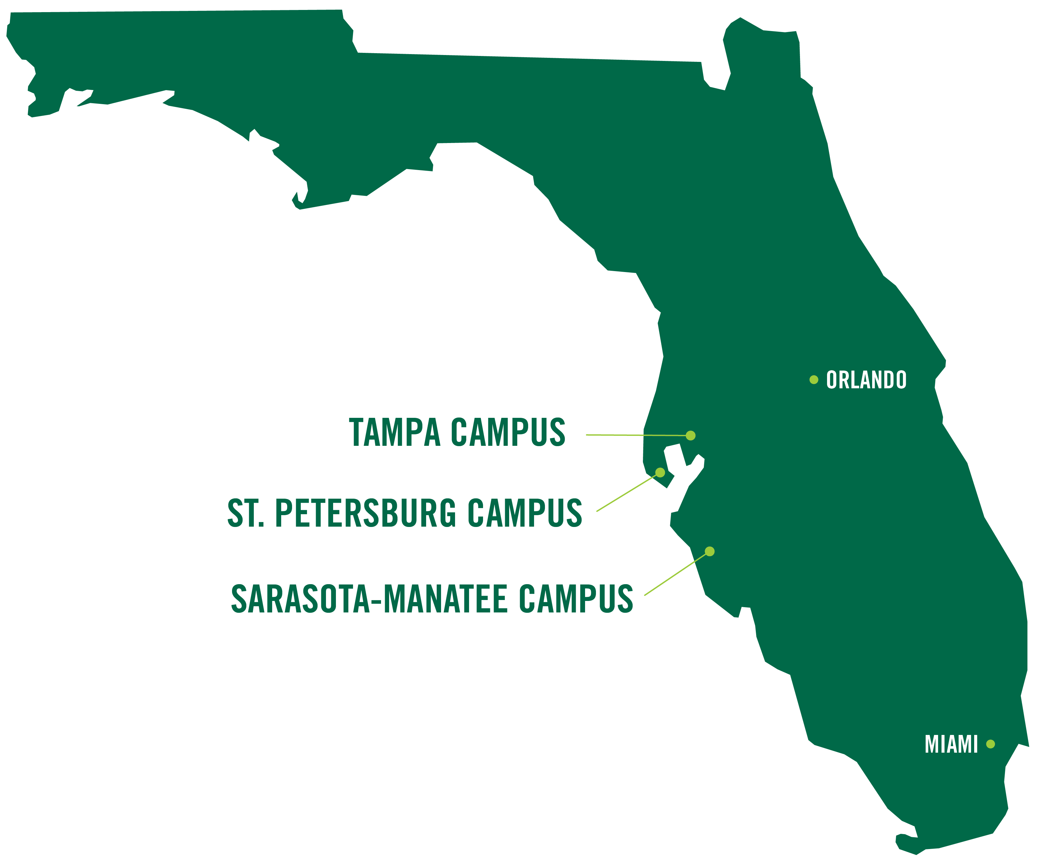 Office Of Admissions University Of South Florida Office Of Admissions University Of South Florida