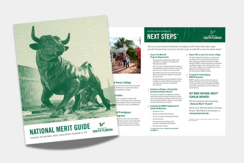 National Merit Scholarship | University of South Florida