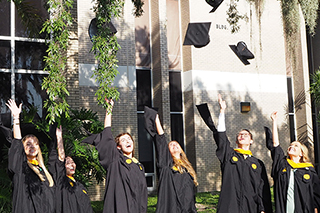 Marriage and Family Therapy Program | University of South Florida