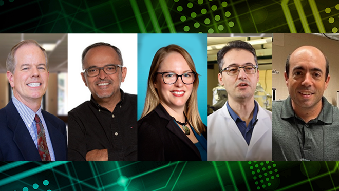 Faculty Affairs | College of Engineering | University of South Florida