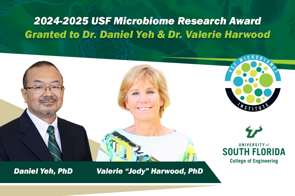 College of Engineering | University of South Florida