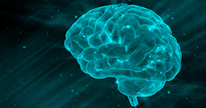 Psychedelic research at USF Health examines new treatment options