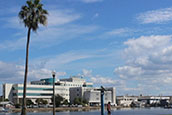 Welcome to USF College of Marine Science