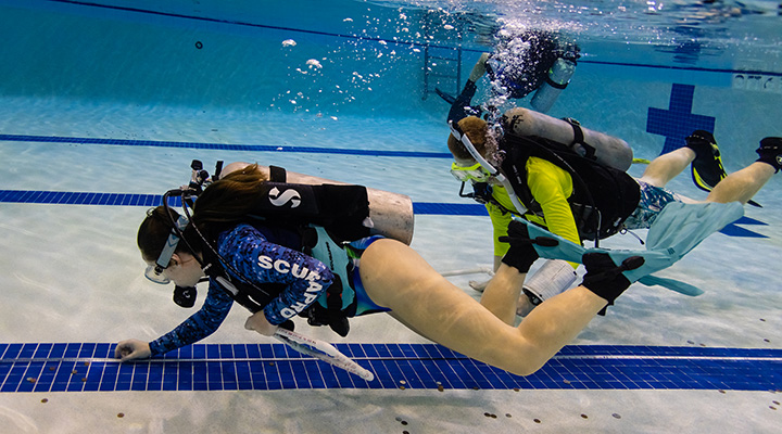 Diving Program Requirements | Research Integrity & Compliance ...