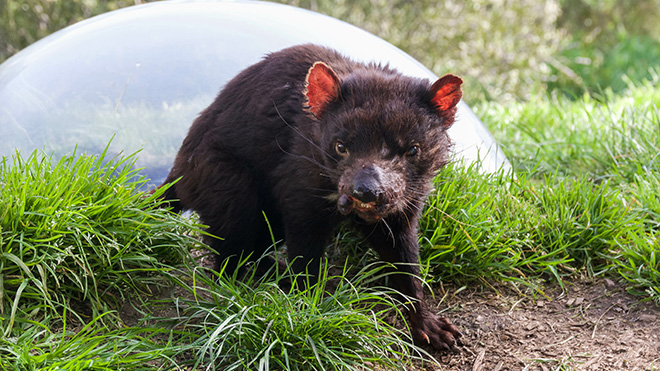 USF Research & Innovation | University of South Florida