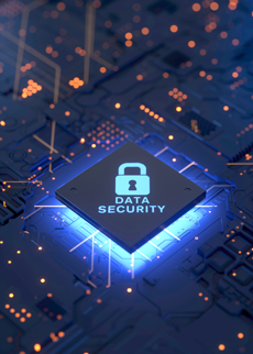 Technology Portfolio